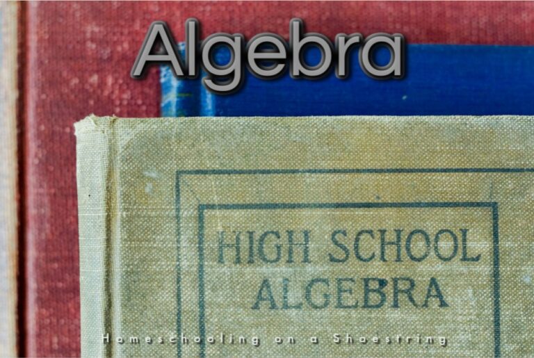 Algebra Free Worksheets, Lessons, and Activities - Homeschooling on a ...