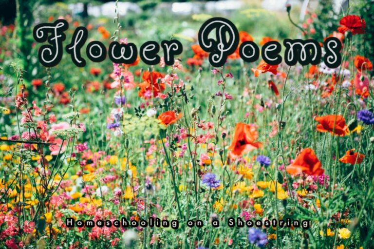 Flower Poems - Homeschooling on a Shoestring