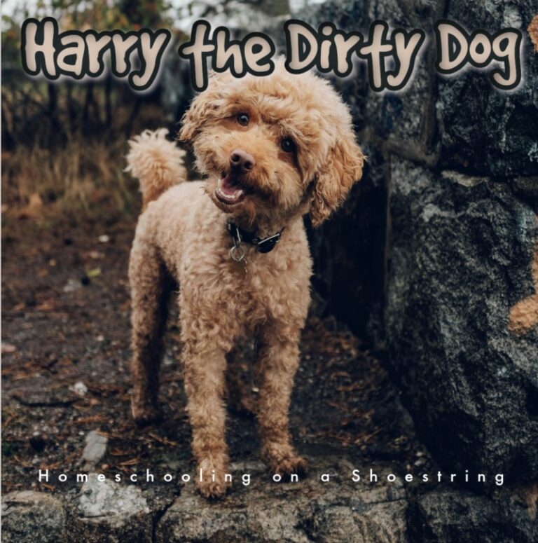Harry the Dirty Dog - Homeschooling on a Shoestring