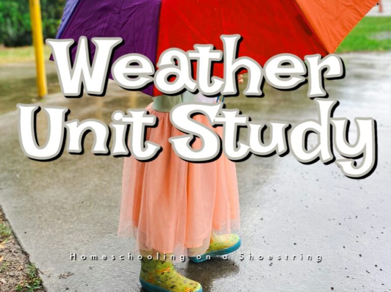 Weather Unit Study - Homeschooling on a Shoestring