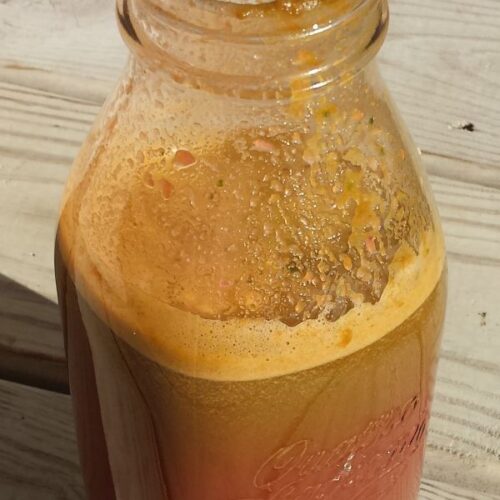 Lemon Apple Carrot Vegetable Juice - Homeschooling on a Shoestring